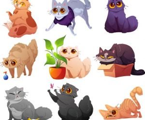 Different Types of Cat Breeds: Top 10 Breeds