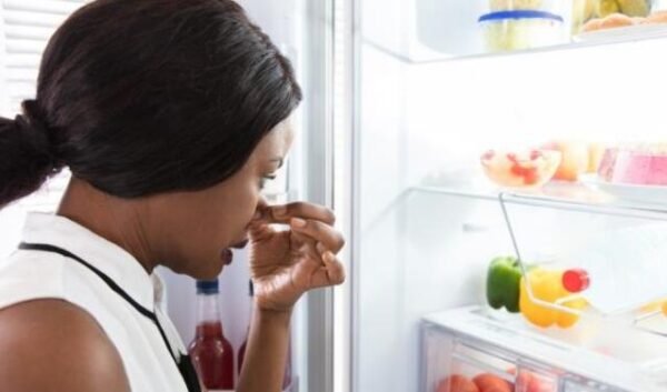 Artificial nose can sniff out spoiled food and prevent waste