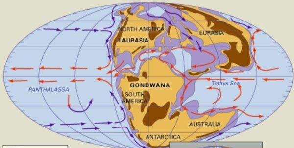 How Ocean Currents Shaped Earth’s Climate in the Age of Dinosaurs