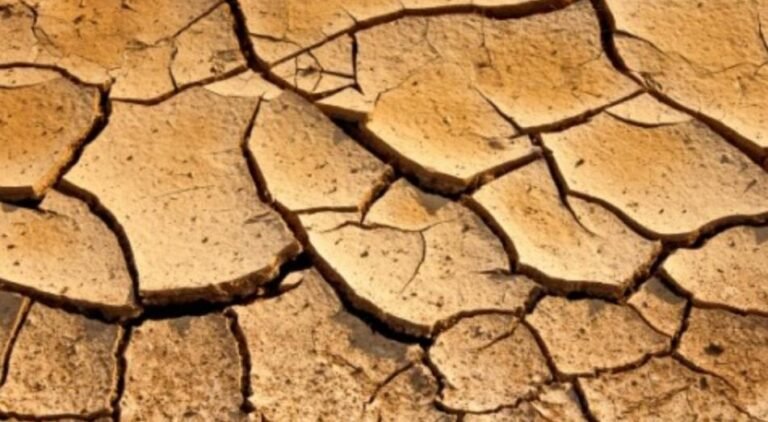 Earth on the verge of five irreversible climate tipping points, study warns